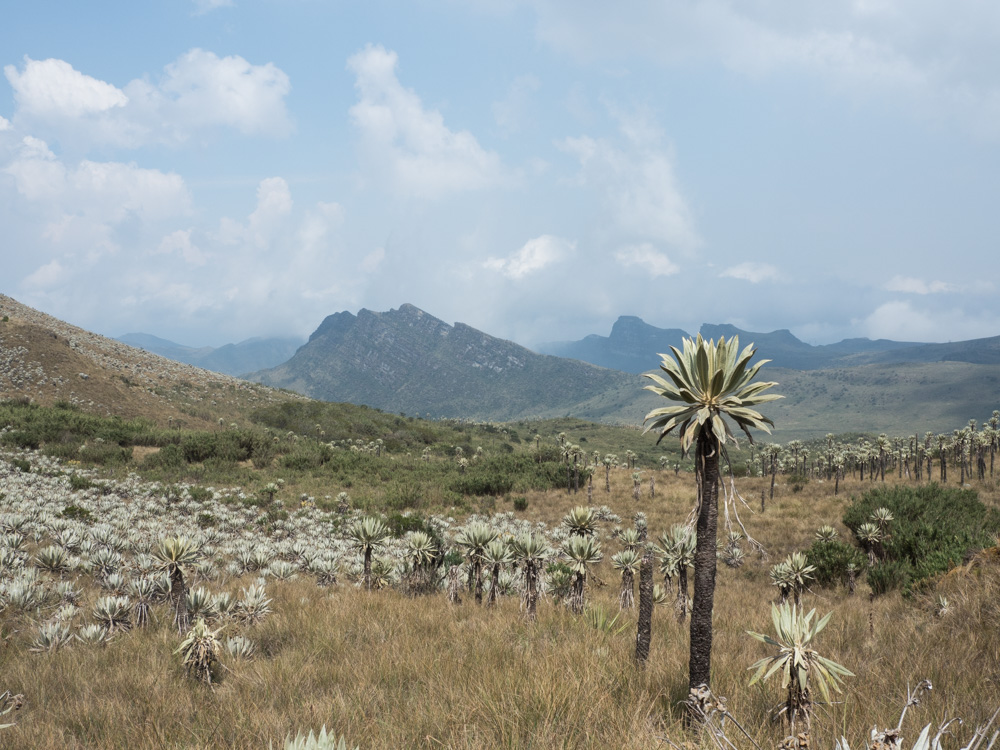 Chingaza National Park A Weekend Away From Bogotá Chronic Wanderlust